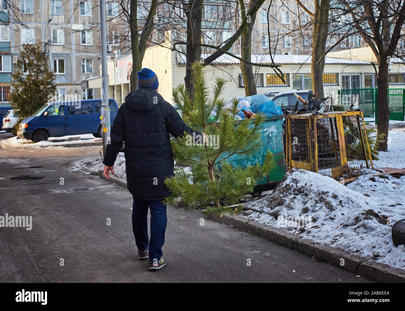 A man throws a Christmas tree in the trash after the holidays Stock ...