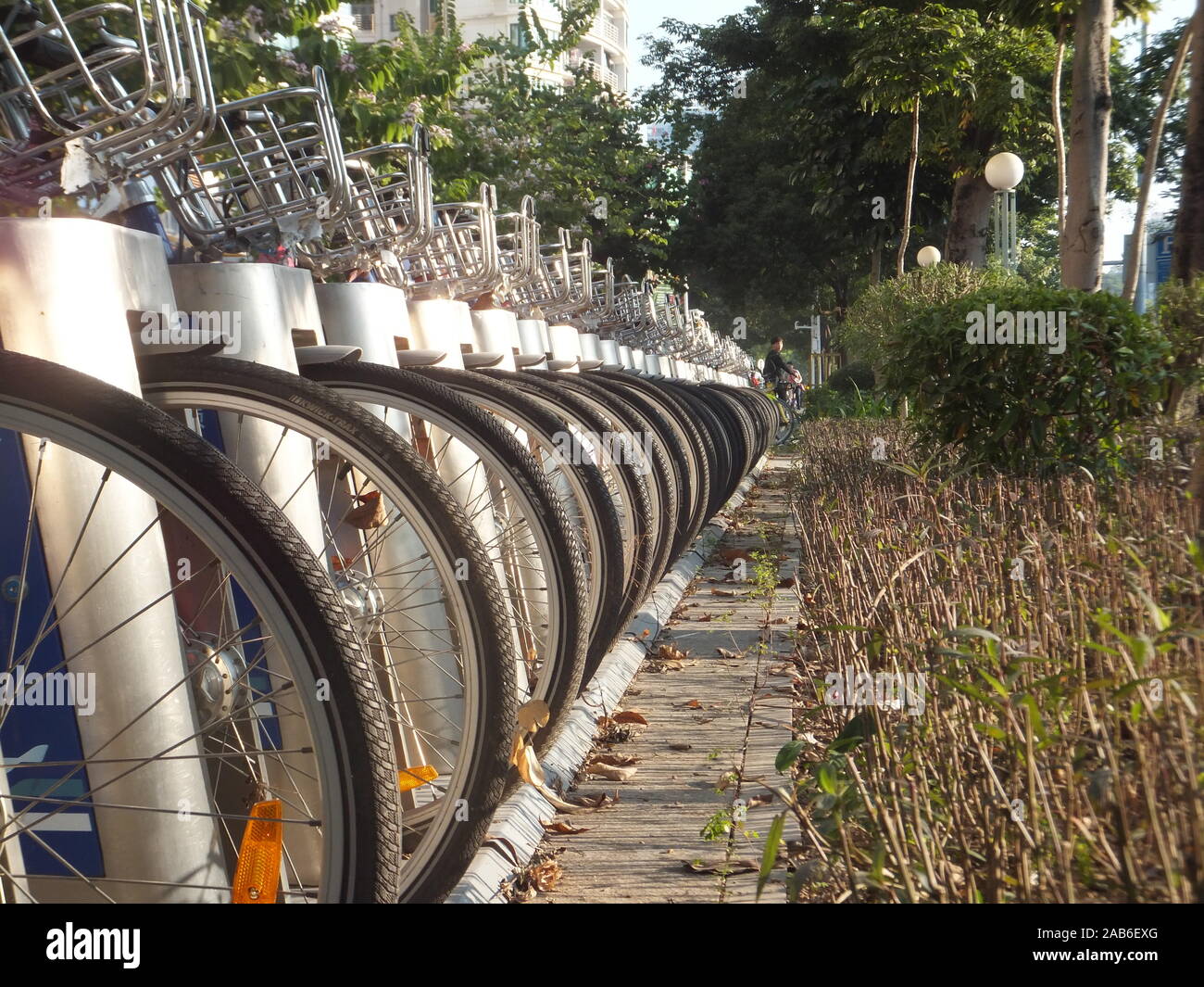 Bicycles line hi-res stock photography and images - Alamy