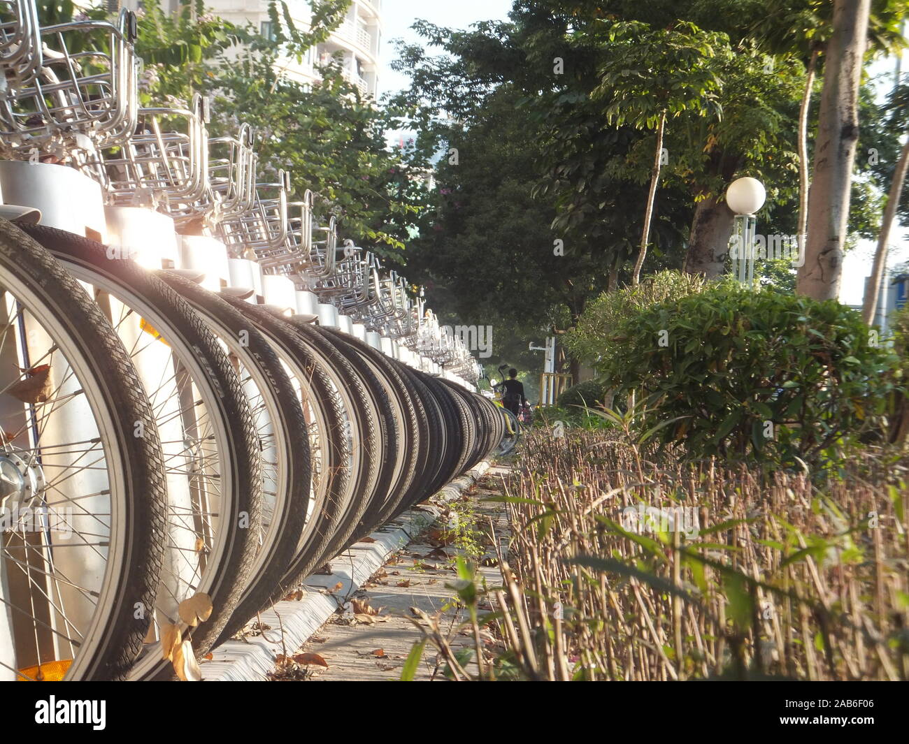 Bicycles line up in the street Stock Photo - Alamy