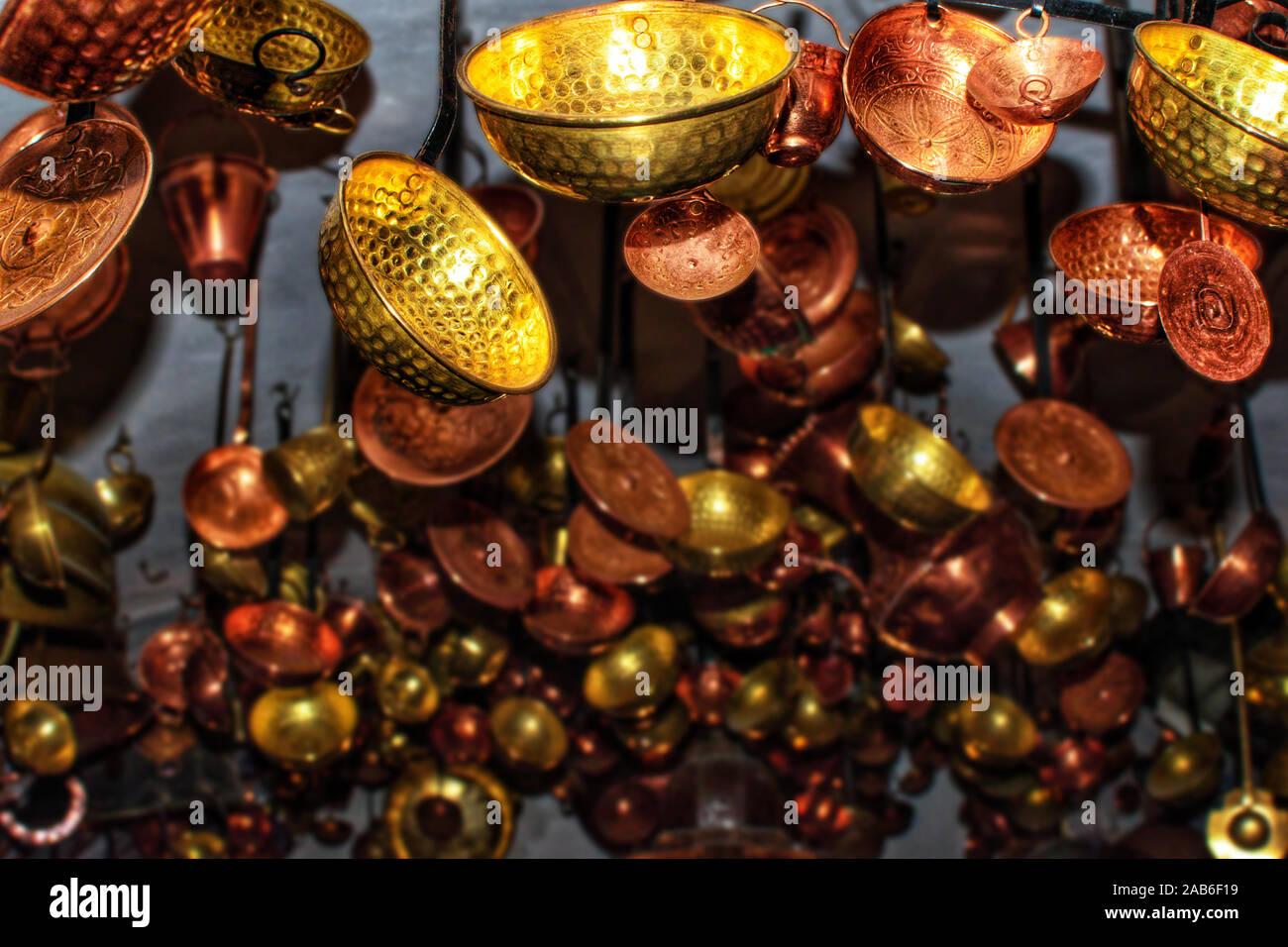 Biodiversity concepts hi-res stock photography and images - Alamy