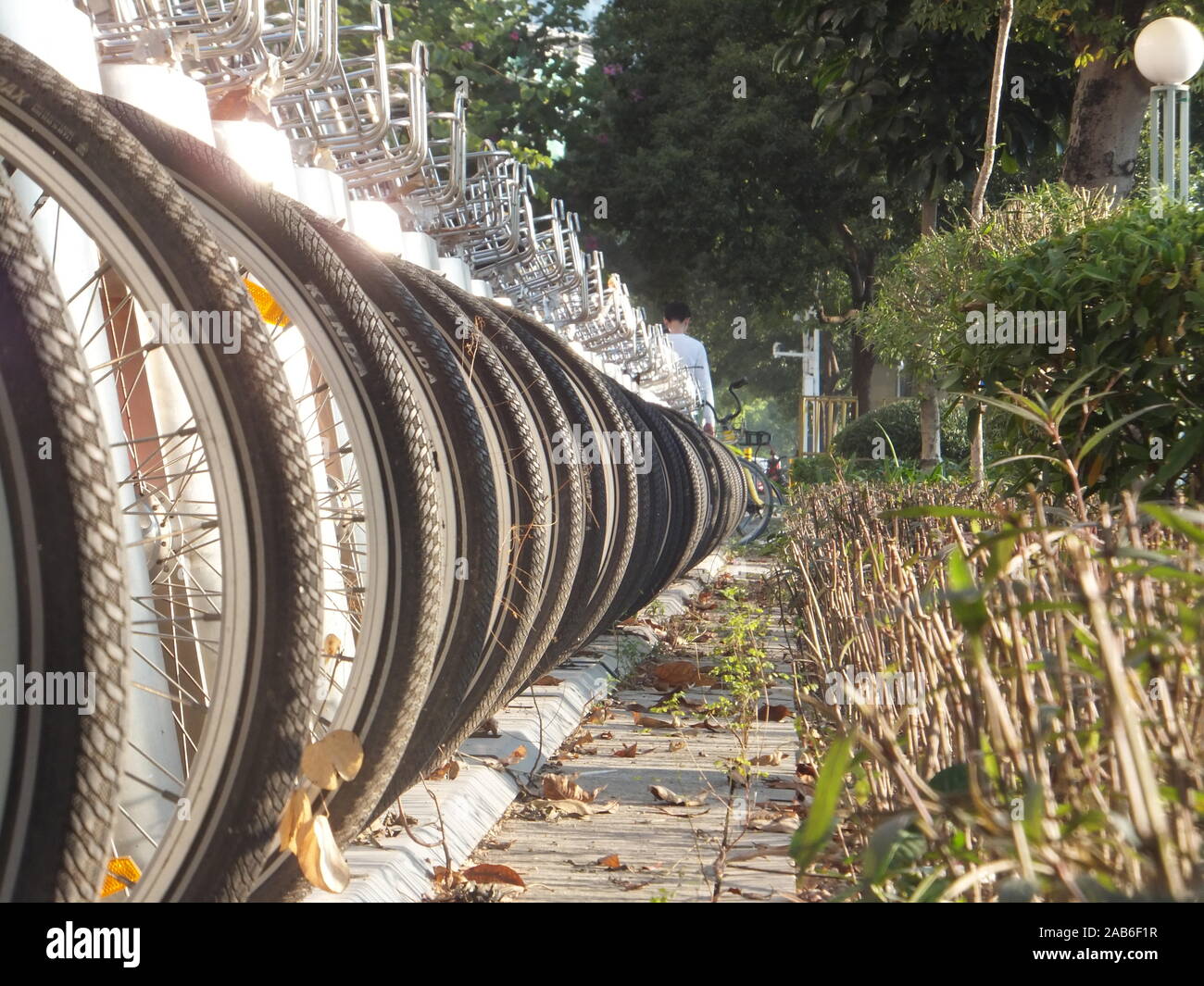 Bicycles line up in the street Stock Photo - Alamy