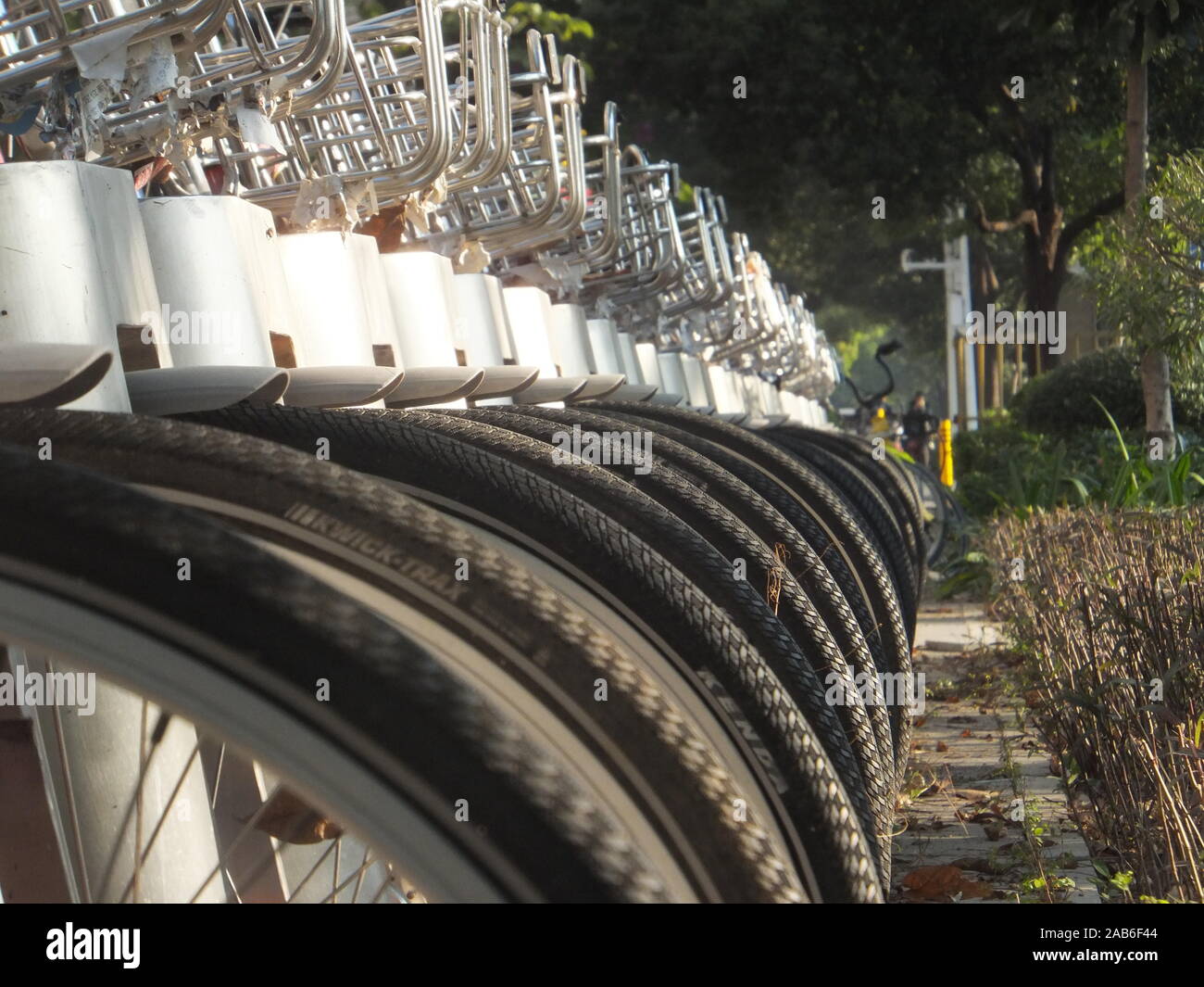 Bicycles line up in the street Stock Photo - Alamy