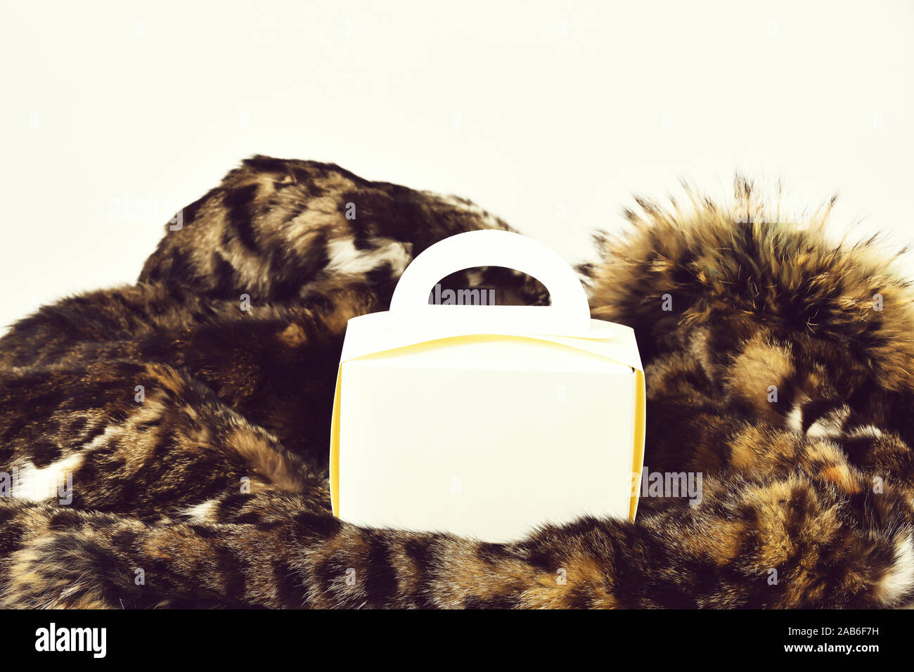 White carton meal box or container on spotted fluffy fur coat ...