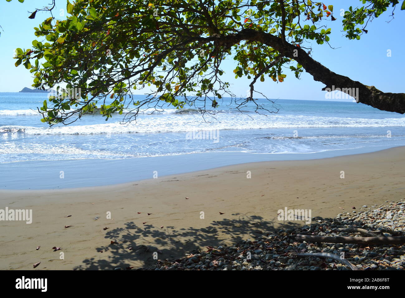Palm trees and beach at Costa Rica Stock Photo - Alamy