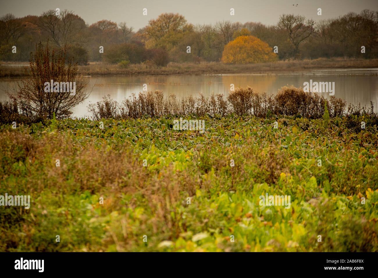 The outskirts of flood hit village of Fishlake near Doncaster South ...