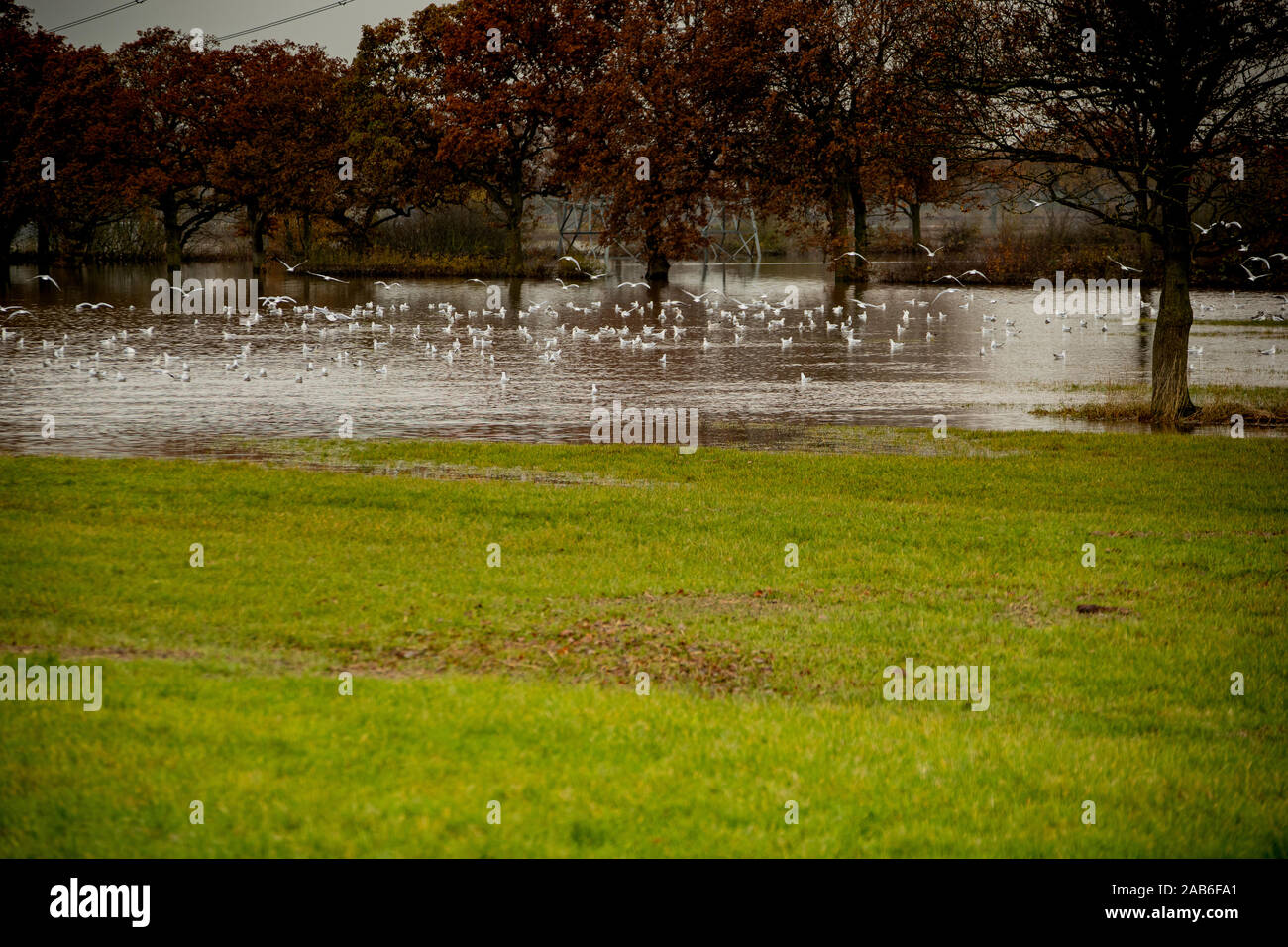 The outskirts of flood hit village of Fishlake near Doncaster South ...