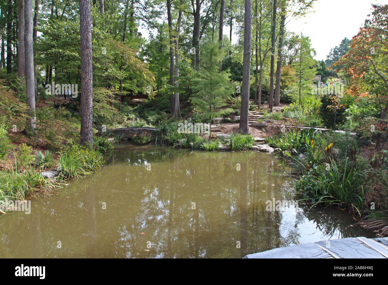 Landscaped paths and bridges through a forest and around a pond in ...