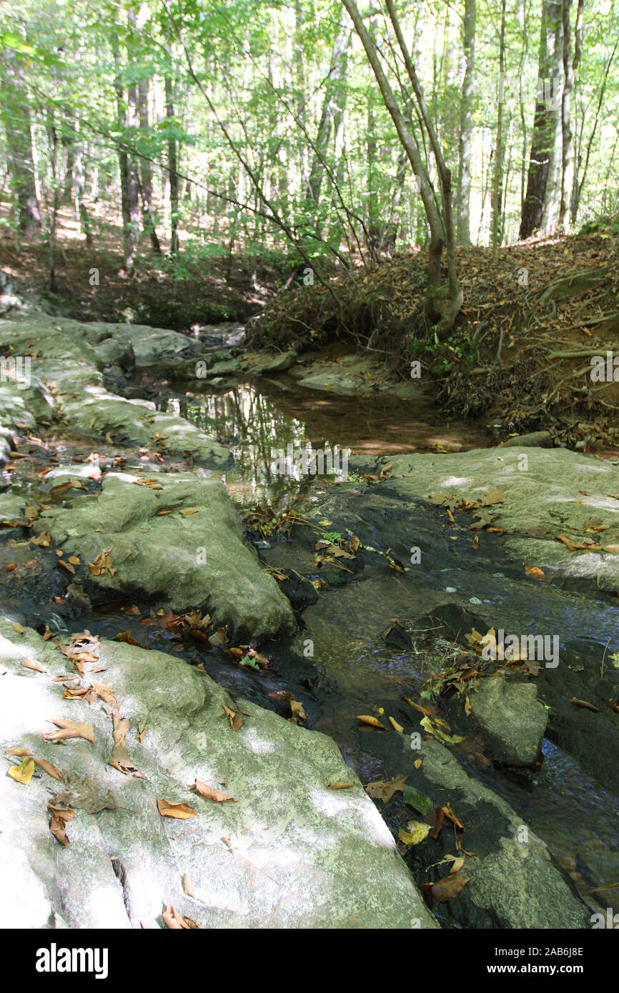 A rocky bank and streambed on Sal's Branch Trail in William B. Umstead ...