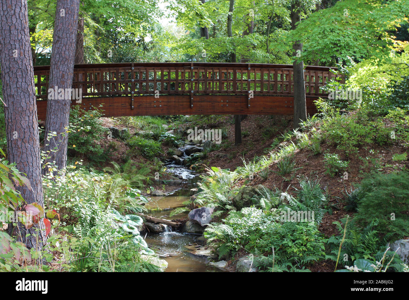 A wood bridge spanning a small stream in a forest in Durham, North ...