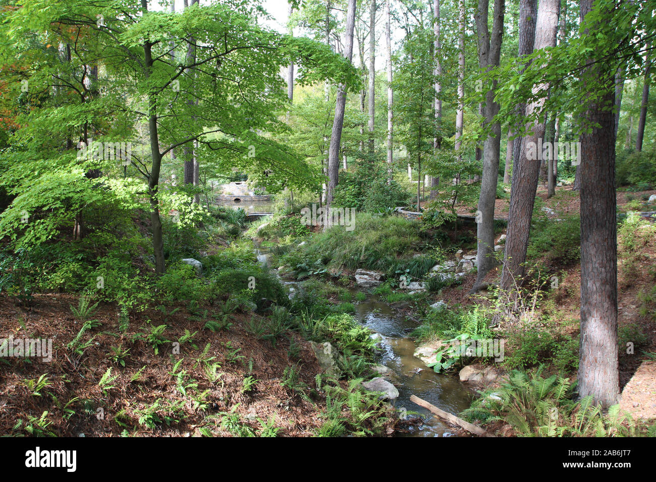 Gulley pond hi-res stock photography and images - Alamy