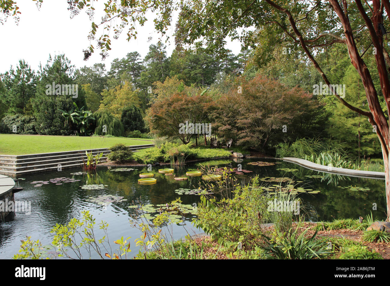 A large man made pond filled with various water lily pads and water ...