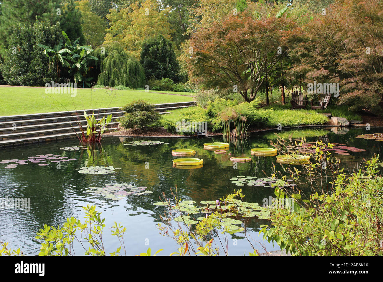 A large man made pond filled with various water lily pads and water ...