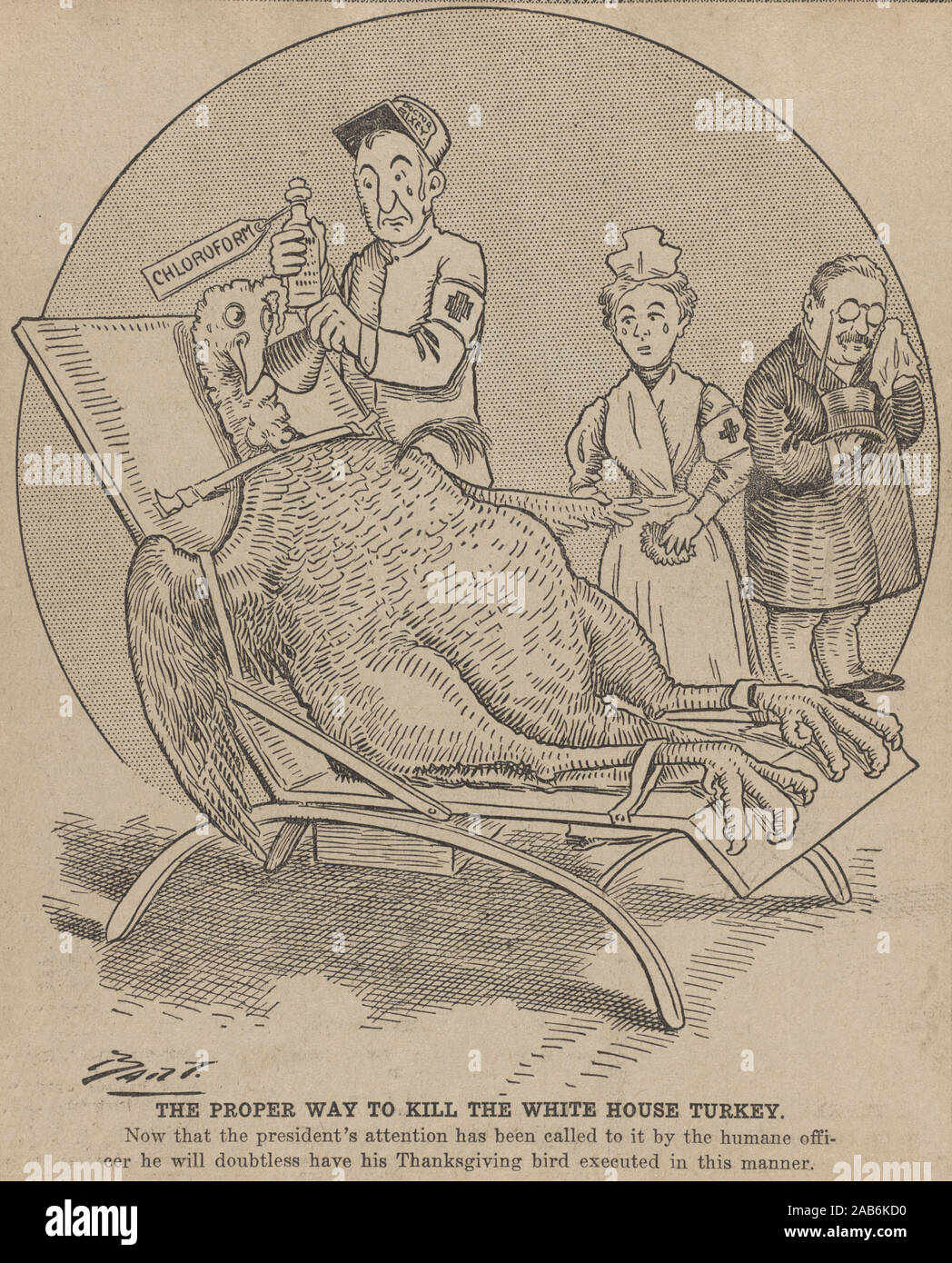 Cartoon turkey hi-res stock photography and images - Alamy