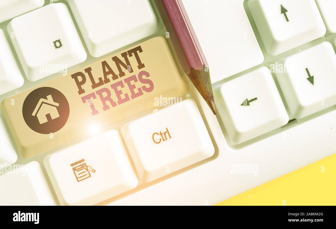 Handwriting text writing Plant Trees. Conceptual photo process of ...