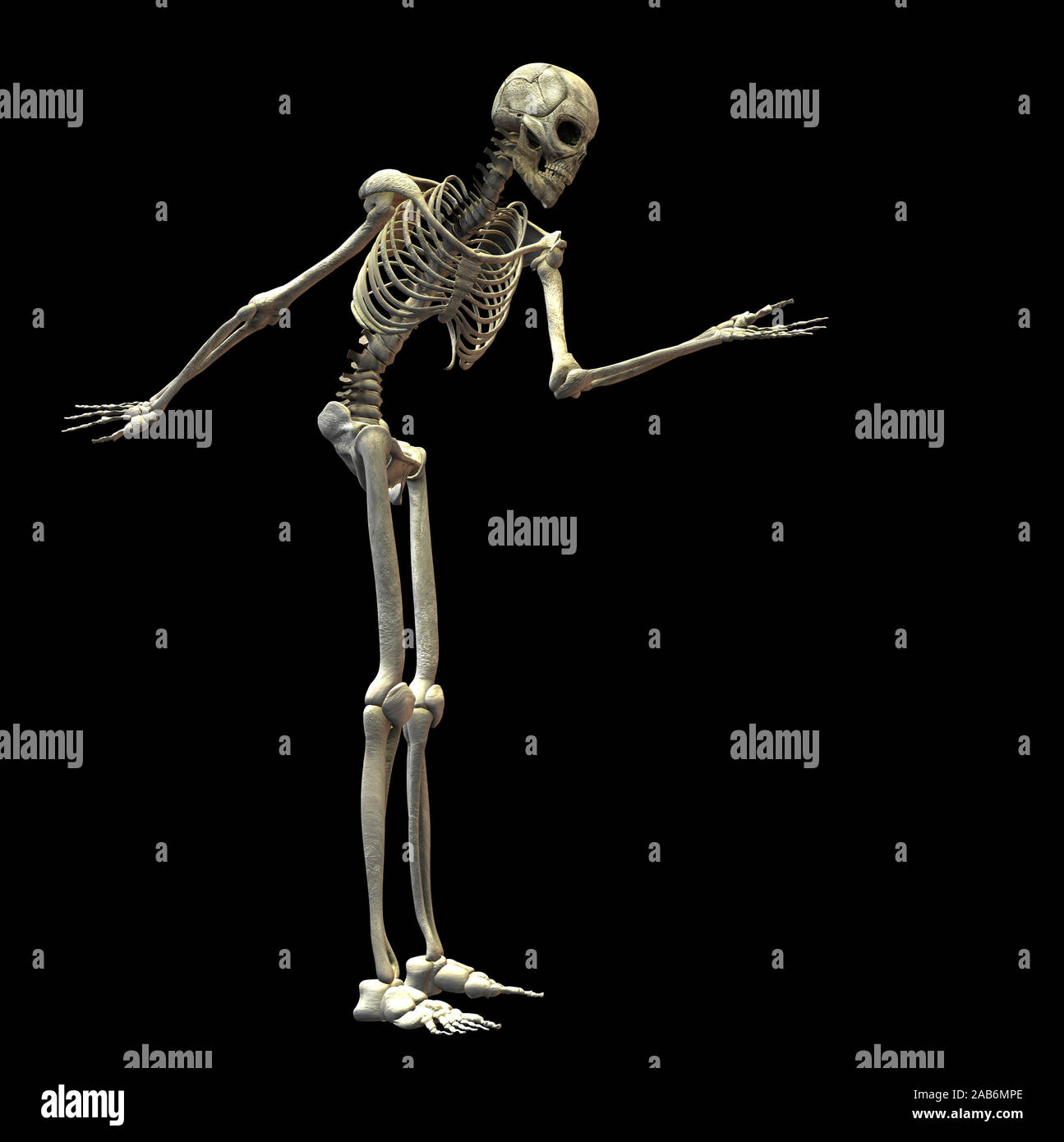 An illustration of a skeleton isolated on a black background Stock ...