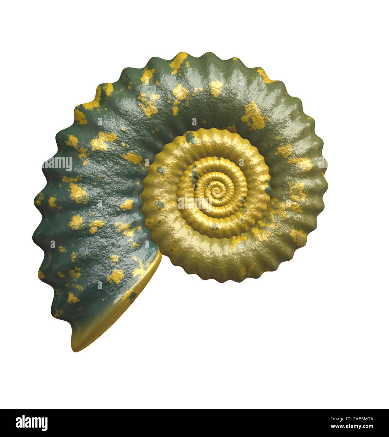 An illustration of a nice sea shell Stock Photo - Alamy