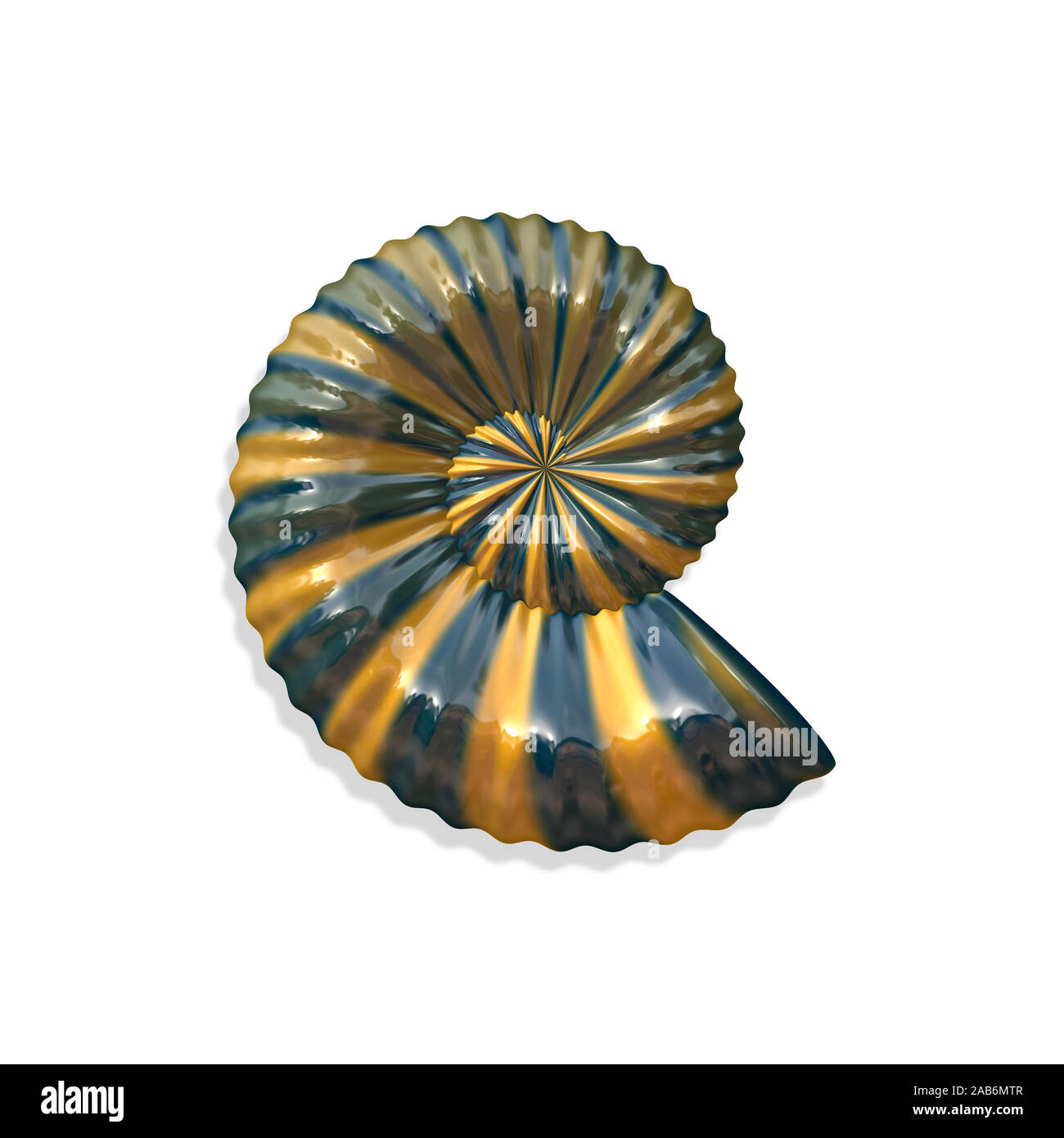 An illustration of a colorful isolated shell Stock Photo - Alamy