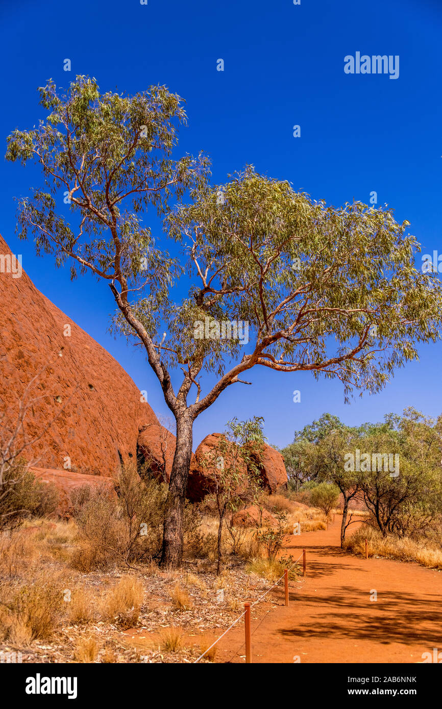 The Mala walk goes from the Mala carpark to Kantju Gorge along the base ...