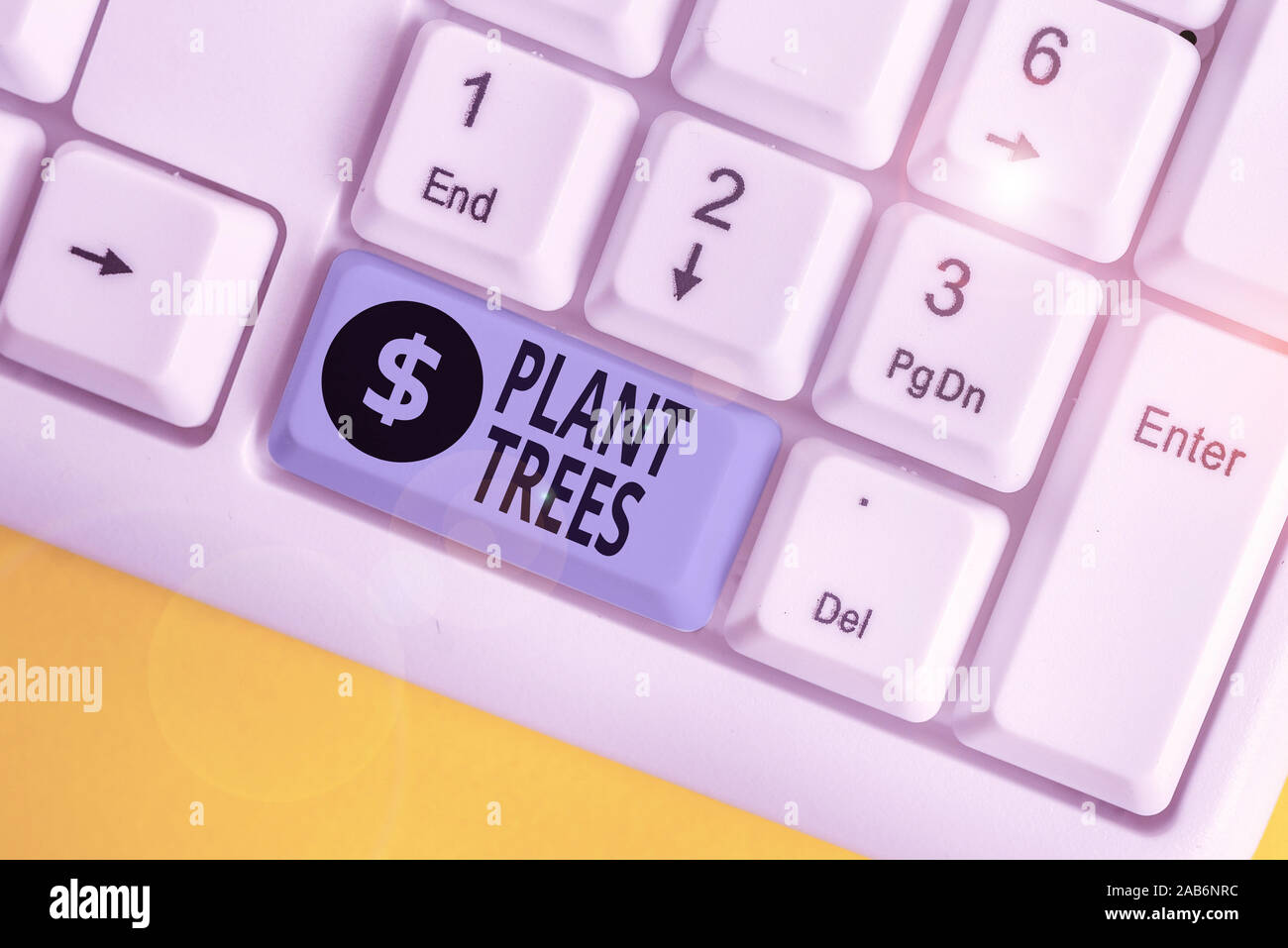 Writing note showing Plant Trees. Business concept for process of ...