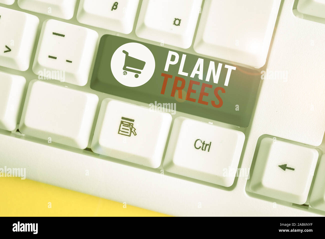 Conceptual hand writing showing Plant Trees. Concept meaning process of ...