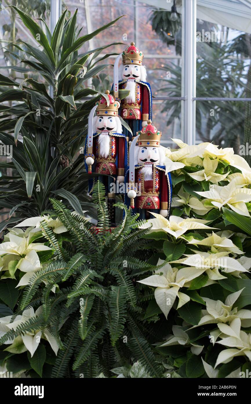 Christmas decorations and poinsettias on display at the Volunteer Park ...