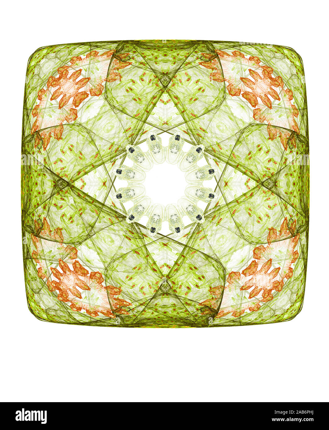 Green abstraction design background Cut Out Stock Images & Pictures - Alamy