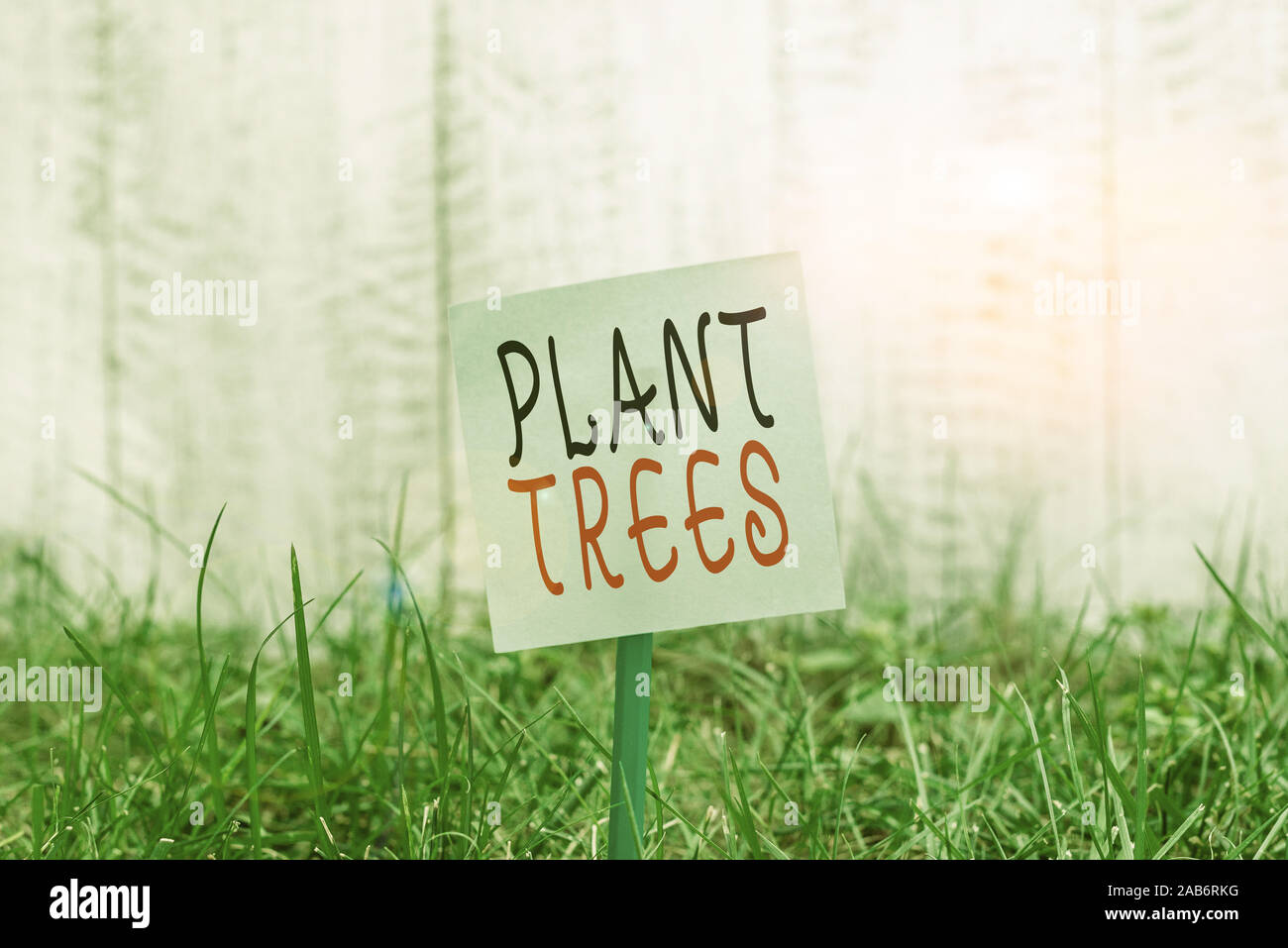 Text sign showing Plant Trees. Business photo showcasing process of ...