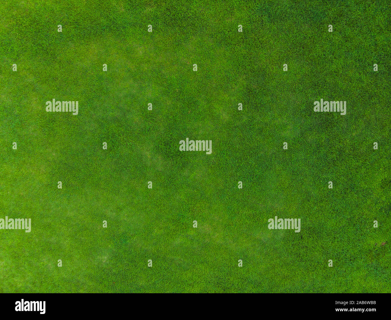 Grass texture hi-res stock photography and images - Alamy