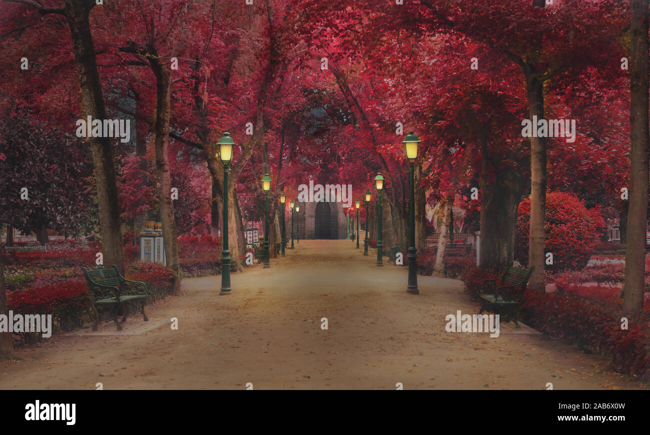 Magical night landscape with red trees and lighted lanterns Stock Photo ...