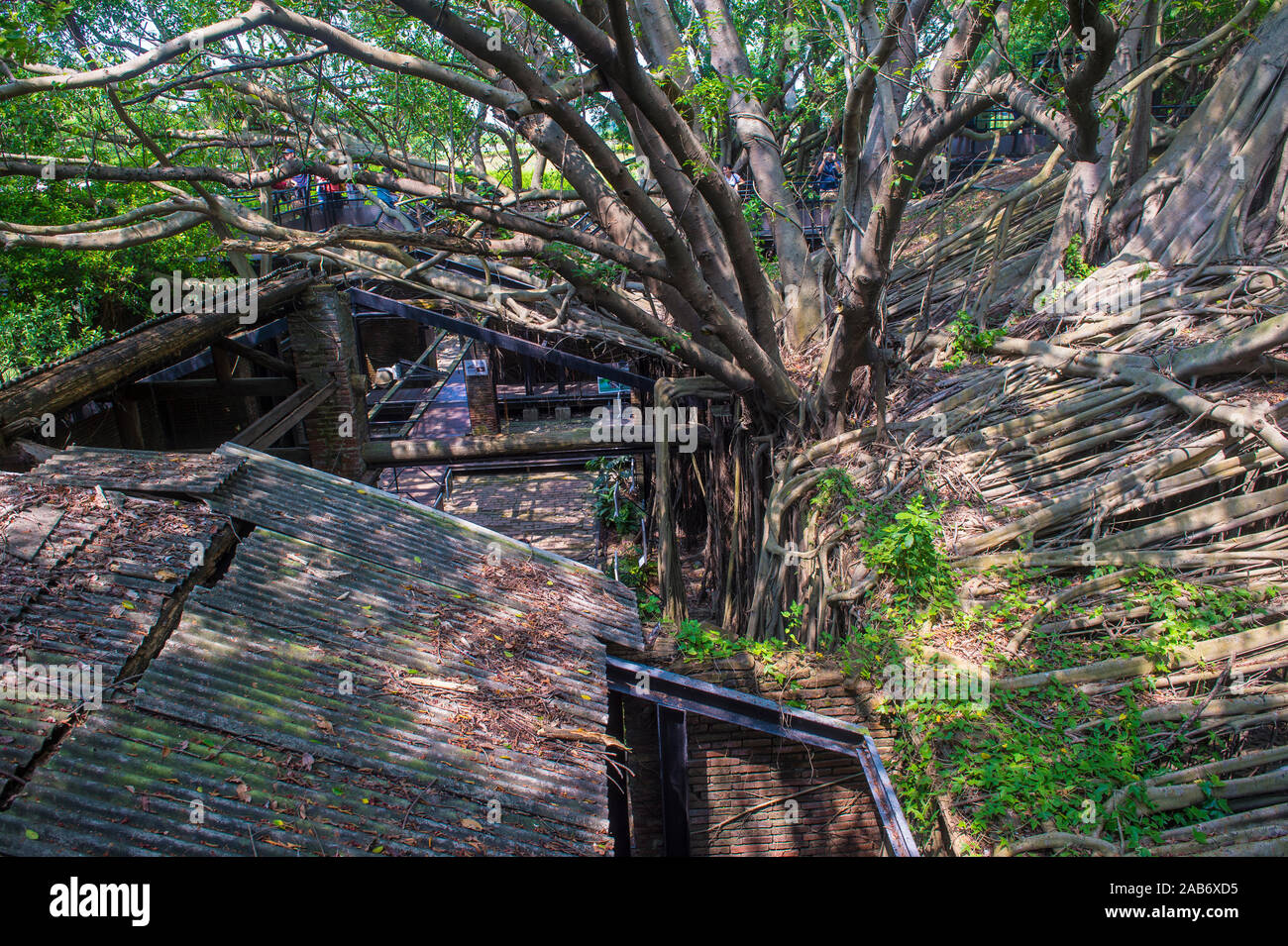 The Anping Tree House in Tainan Taiwan Stock Photo - Alamy
