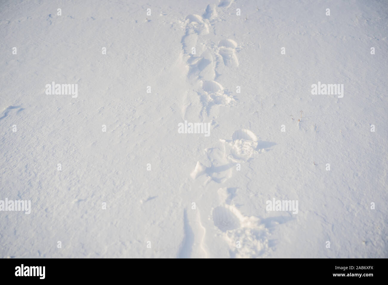 Human footprints in deep snow hi-res stock photography and images - Alamy