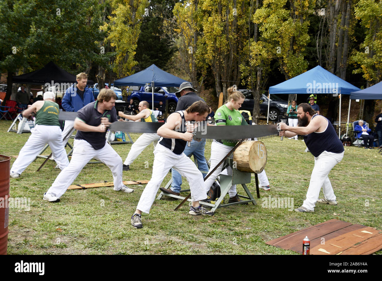 Log sawing hi-res stock photography and images - Alamy