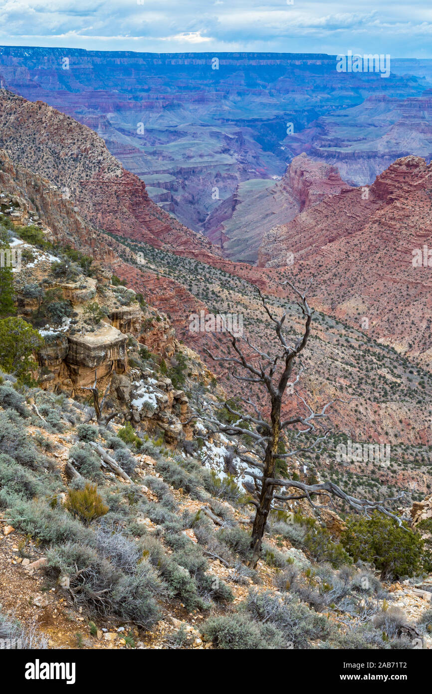 The Grand Canyon in northern Arizona Stock Photo - Alamy