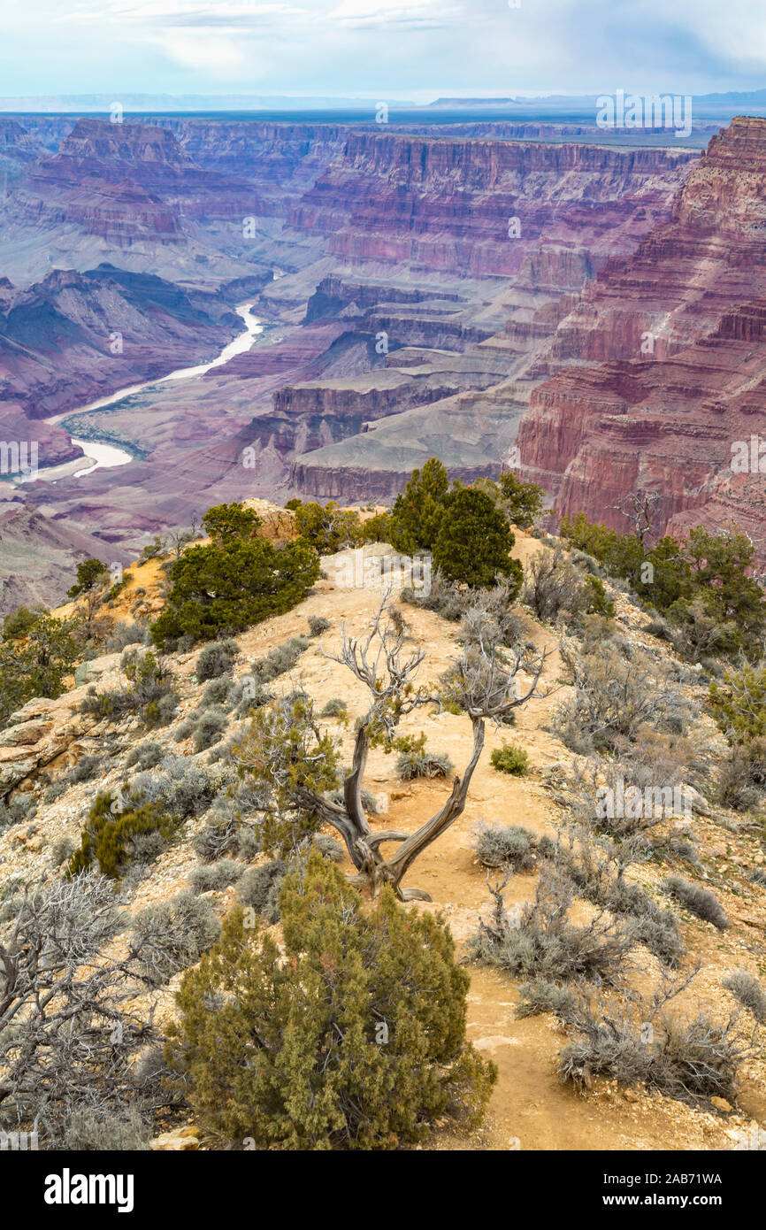 The Grand Canyon in northern Arizona Stock Photo - Alamy