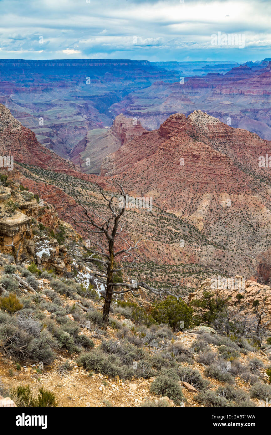 The Grand Canyon in northern Arizona Stock Photo - Alamy