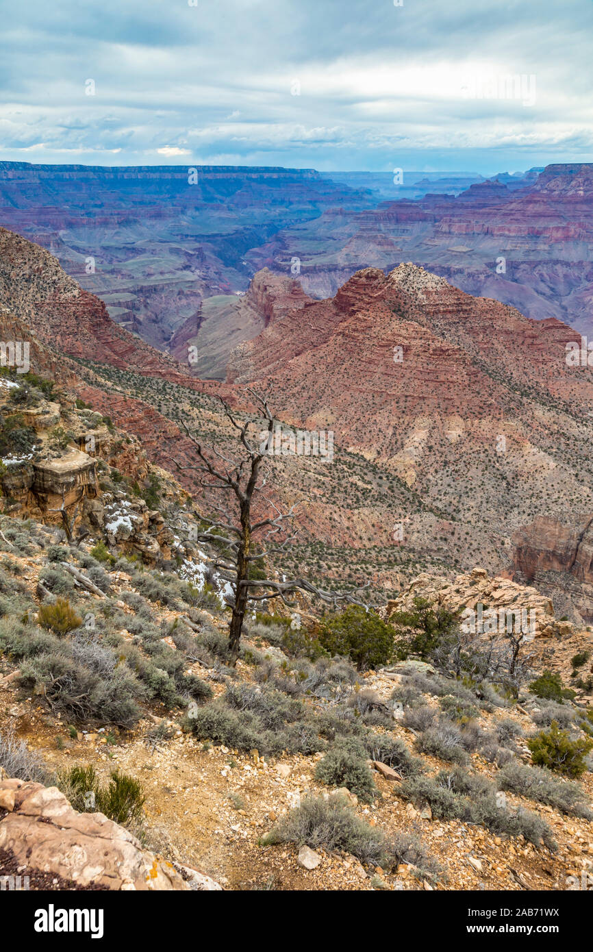 The Grand Canyon in northern Arizona Stock Photo - Alamy