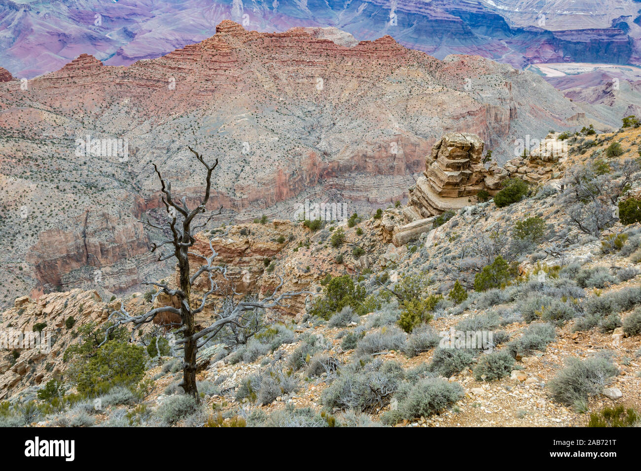 The Grand Canyon in northern Arizona Stock Photo - Alamy