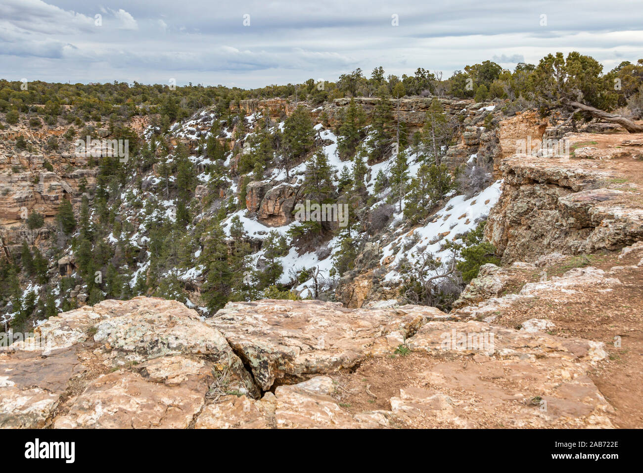 The Grand Canyon in northern Arizona Stock Photo - Alamy