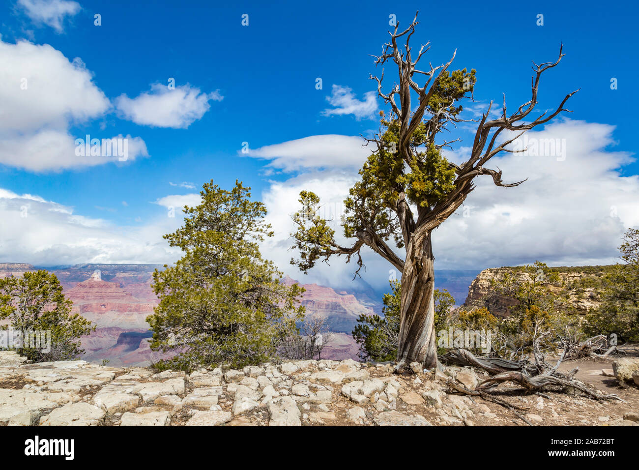 The Grand Canyon in northern Arizona Stock Photo - Alamy