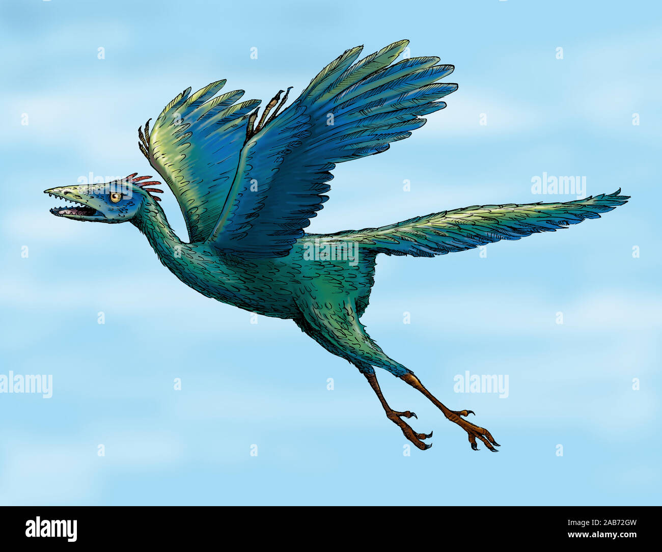 Archaeopteryx flying hi-res stock photography and images - Alamy