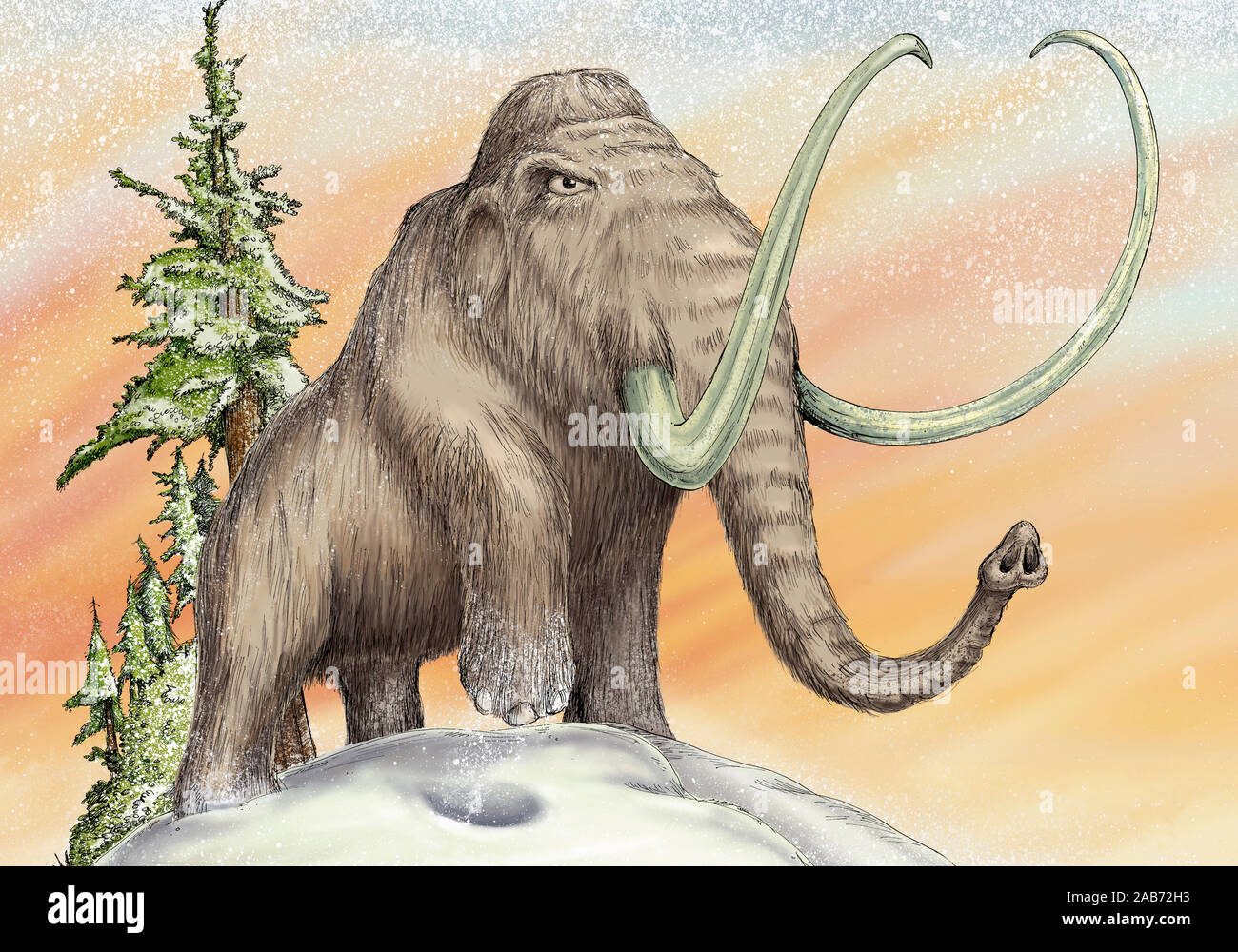 Large mammoth hi-res stock photography and images - Alamy