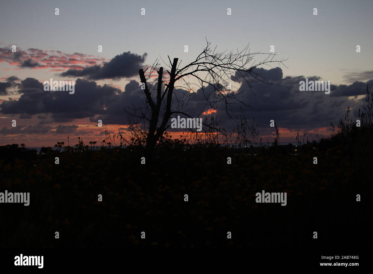 the sunset in different perspective and beauty of it in the colors of ...