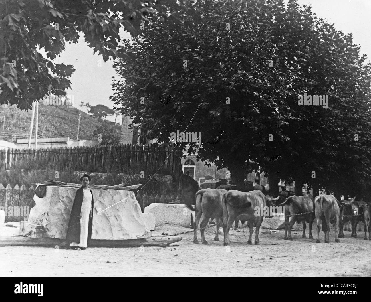 Transporting large stone block - animals pulling a platform with a ...