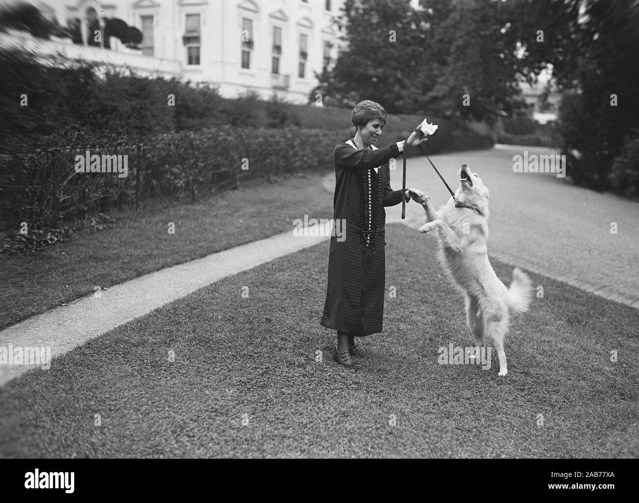 Grace coolidge dog hi-res stock photography and images - Alamy