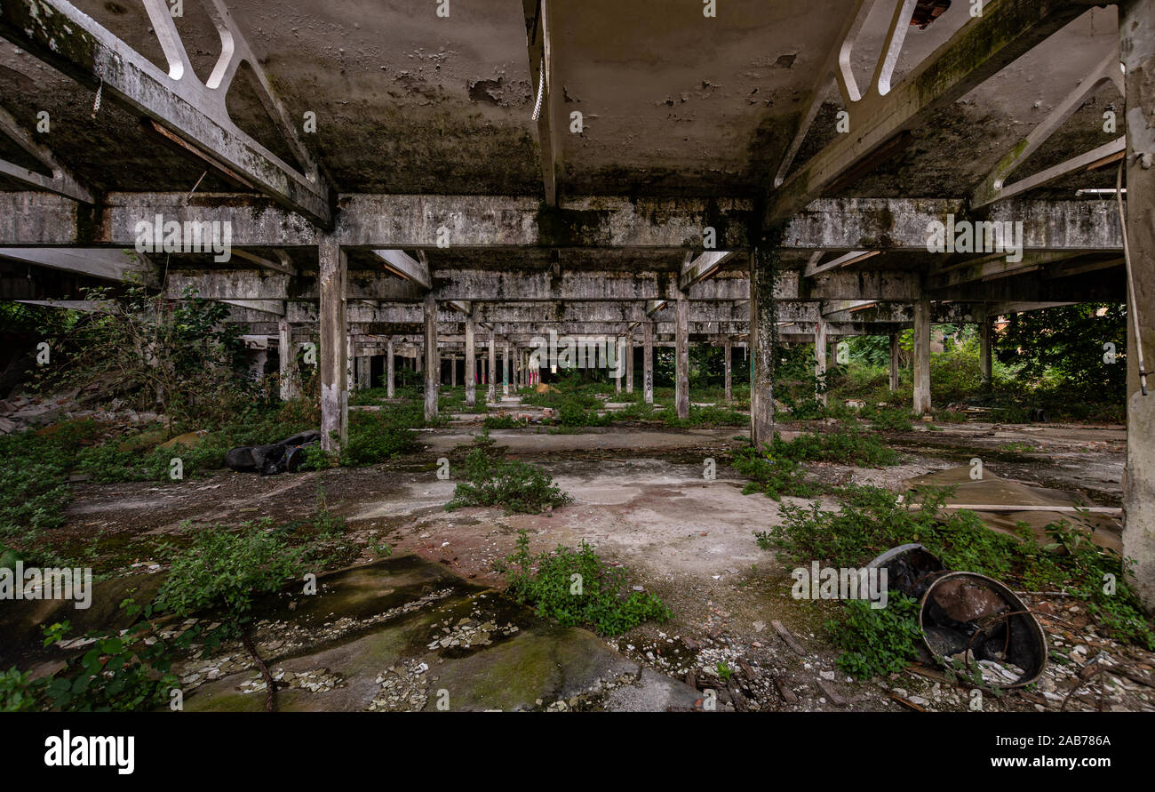 Image of abandoned industrial warehouse where the vegetation is ...