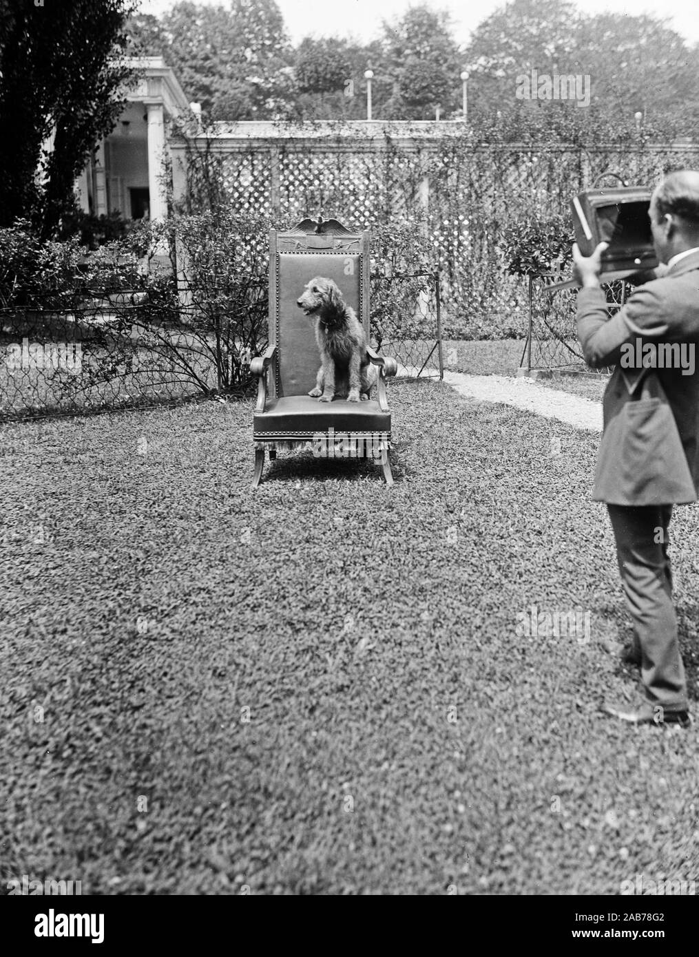 Archival dog and boy hi-res stock photography and images - Alamy