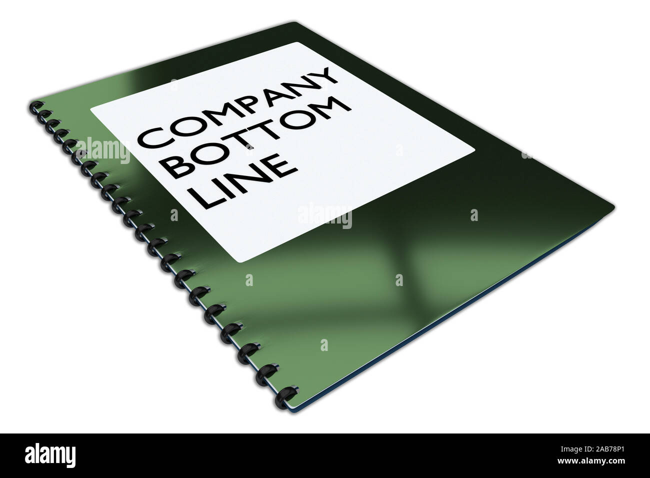3D illustration of COMPANY BOTTOM LINE script on a book, isolated on ...