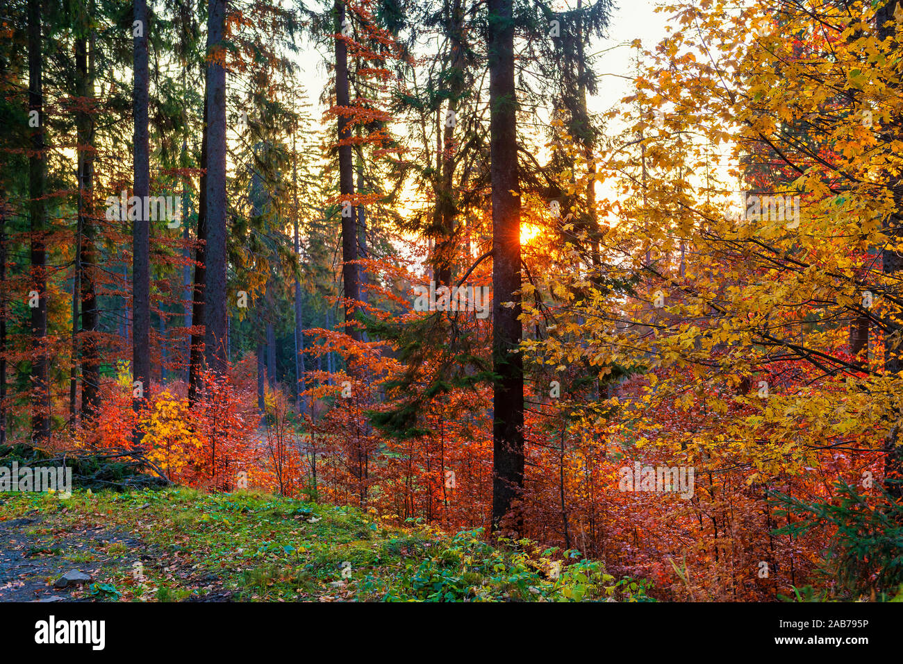 Walkpass hi-res stock photography and images - Alamy