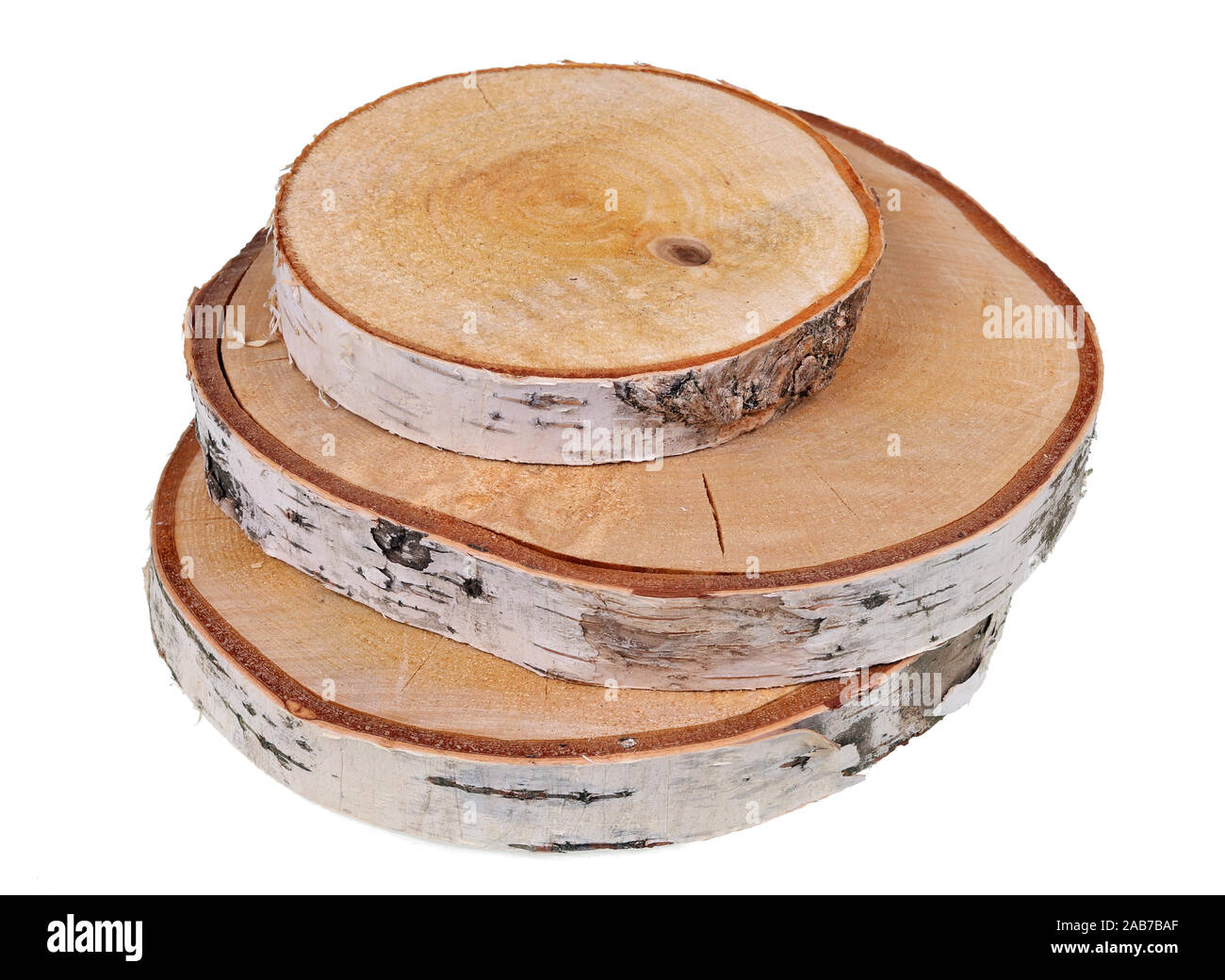 Young birch trees Cut Out Stock Images & Pictures - Alamy