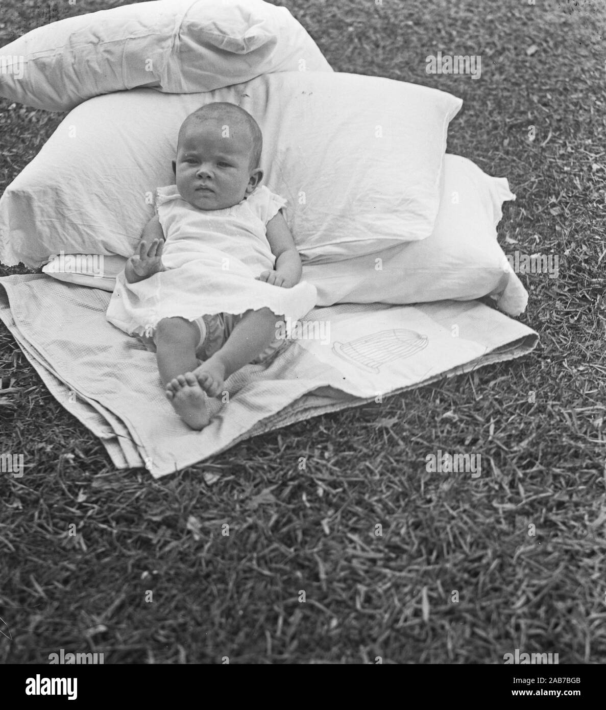 Baby grass Black and White Stock Photos & Images - Alamy